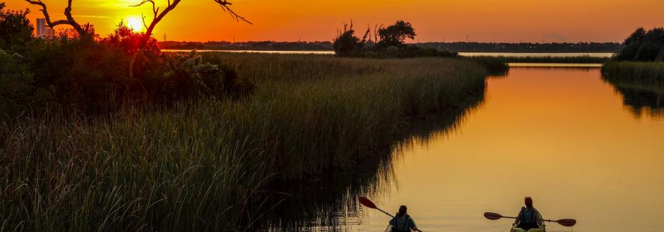 3 Best Things to Do at Little Lagoon | Gulf Shores Vacation Rentals